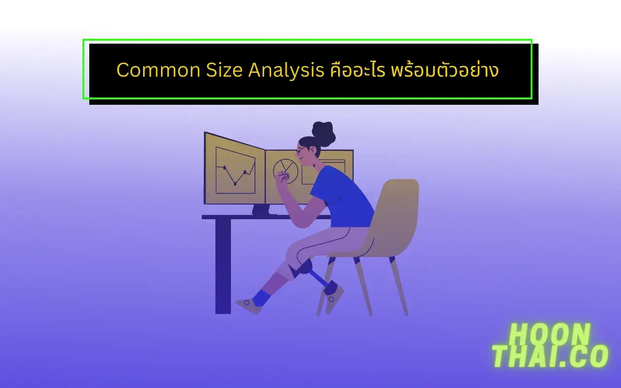 Common Size Analysis คืออะไร พร้อมตัวอย่าง - HoonThai.co